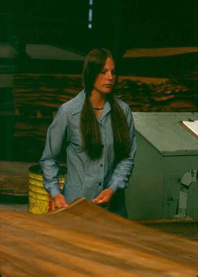 Fletcher Challenge Ltd, Building Division: 1982 Wood panels, West Coast ...