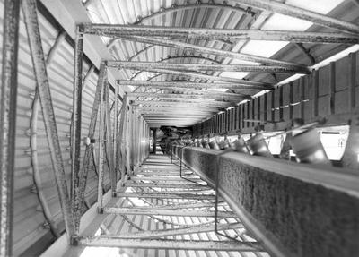 Winstone Aggregates Ltd: 1965 Lunn Ave Quarry (LAQ), Mt Wellington ...