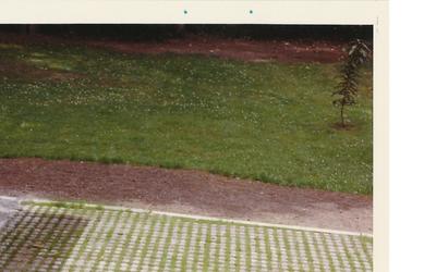 Vibrapac Blocks Ltd: 1976 Gobi Blocks laid in driveway in Northcote ...