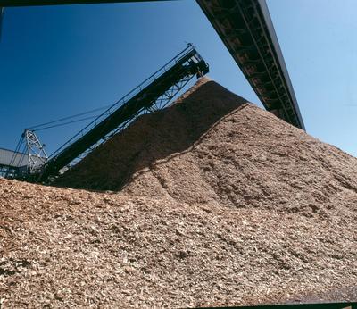 Tasman Pulp & Paper Co Ltd, Kawerau: 1994 Chip piles - various day ...
