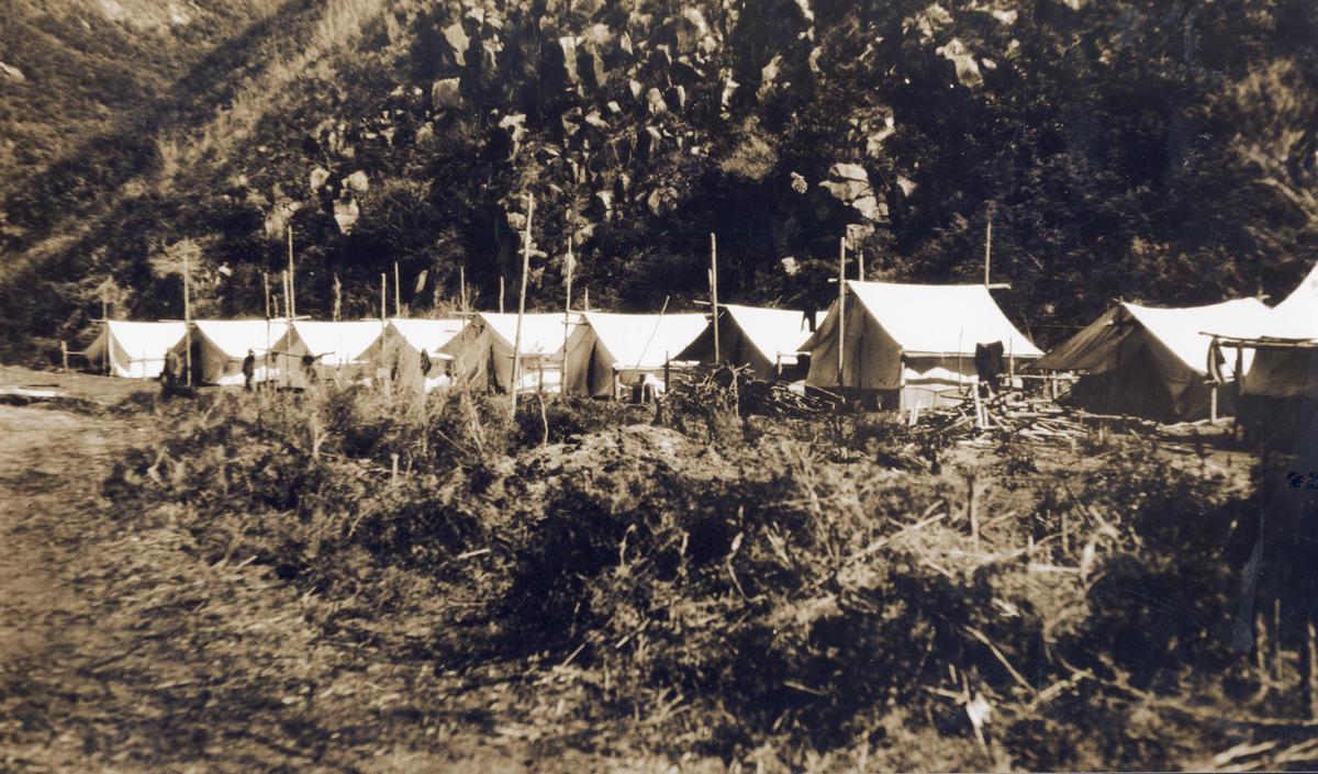 NZ State Forest Service - Kaingaroa Forest: 1928 Planting Camp ...