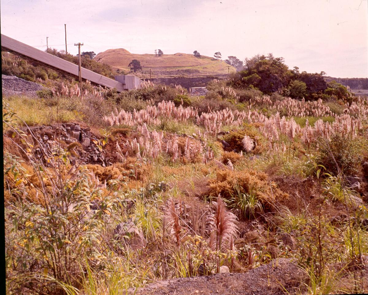 Winstone Aggregates Ltd: 1981 Lunn Ave Quarry (LAQ), Mt Wellington ...