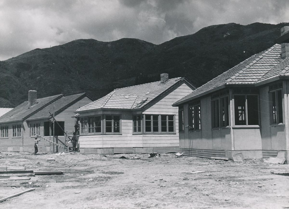 Durock Siding: 1959 Residential house - Fletcher Trust Archive