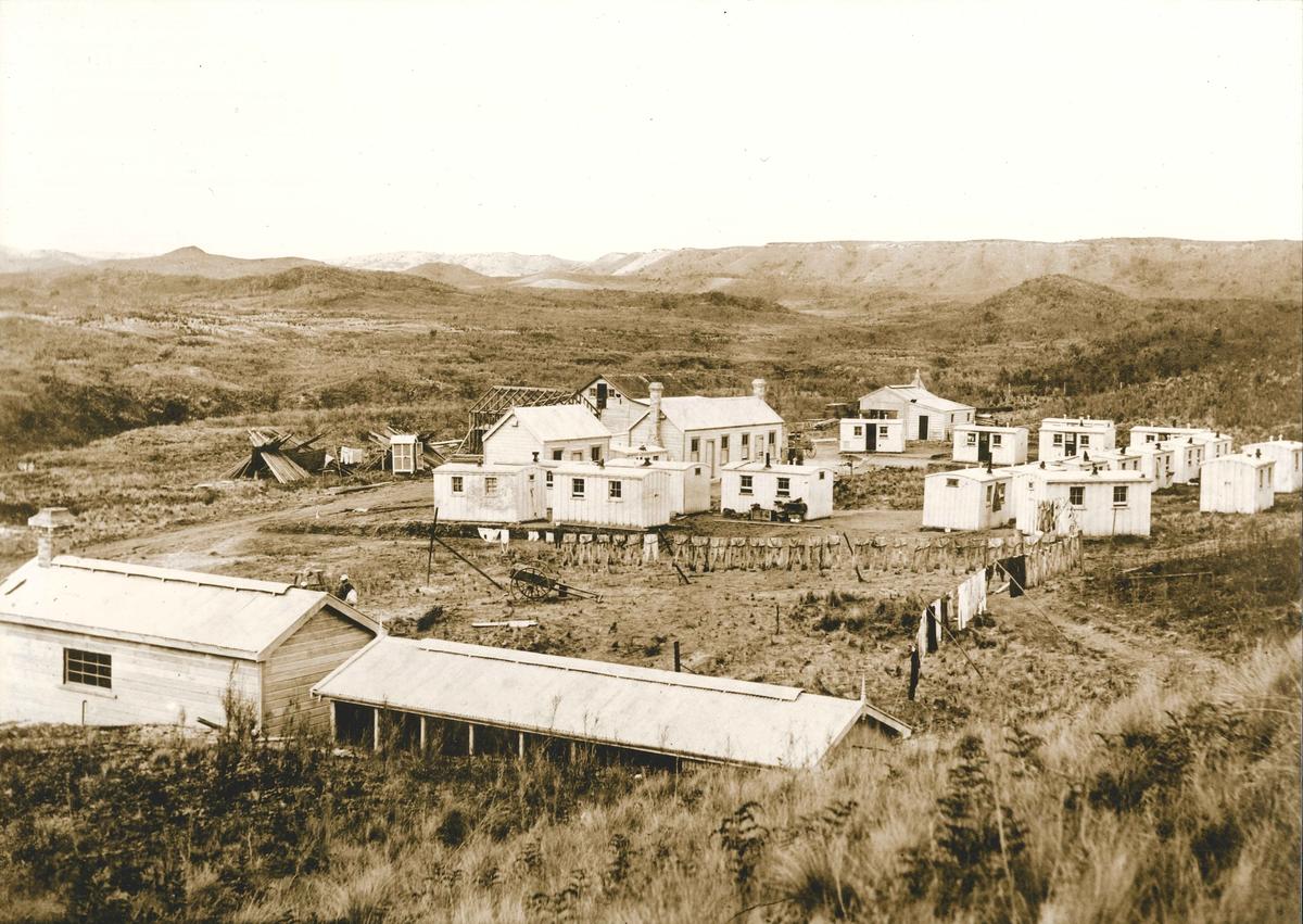 NZ State Forest Service - Kaingaroa Forest: circa 1908 Waiotapu prison ...