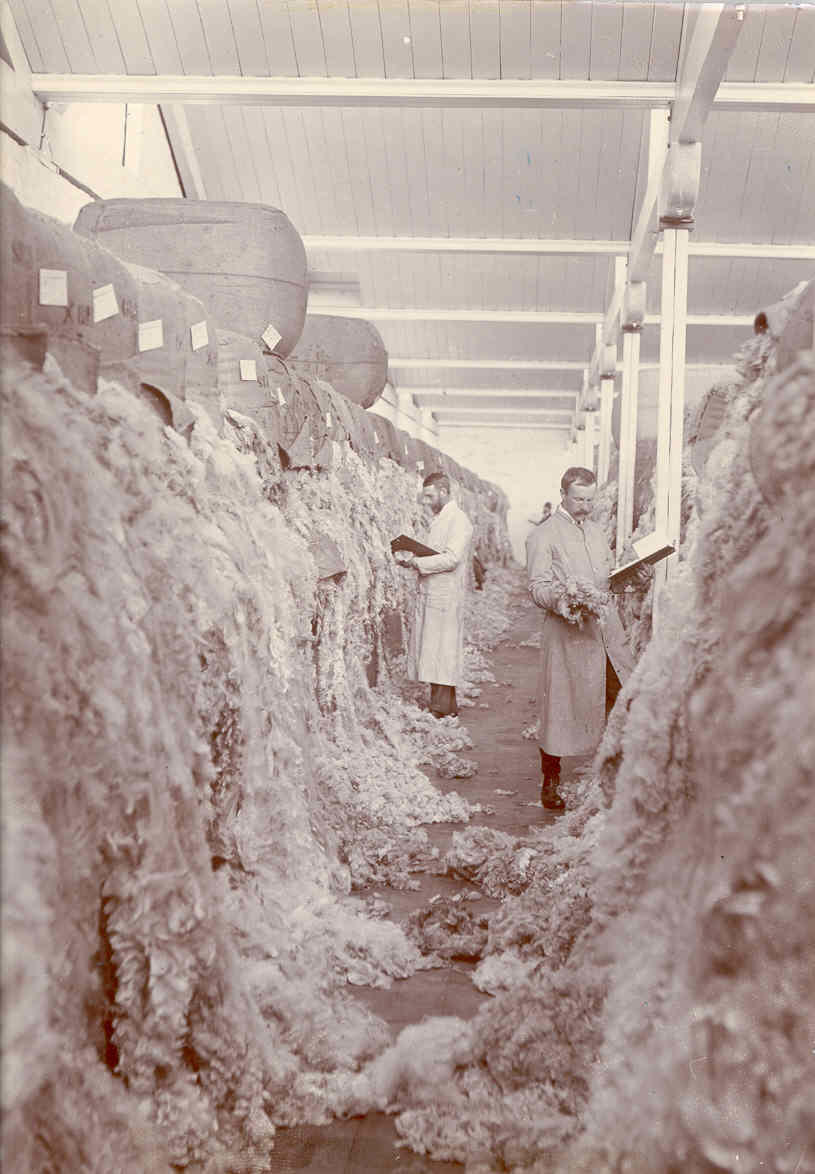 Wright Stephenson & Co Ltd - Dunedin Branch, Otago: 1903 Dunedin ...